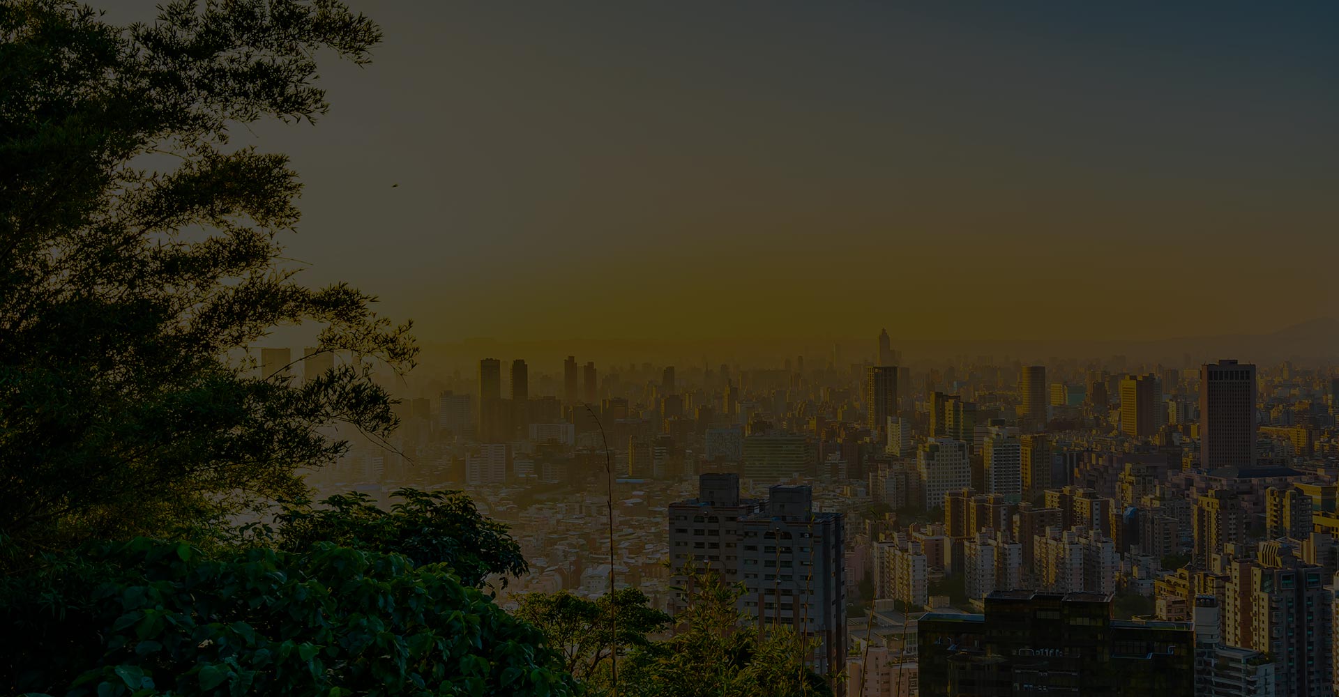 Gandza – Engenharia